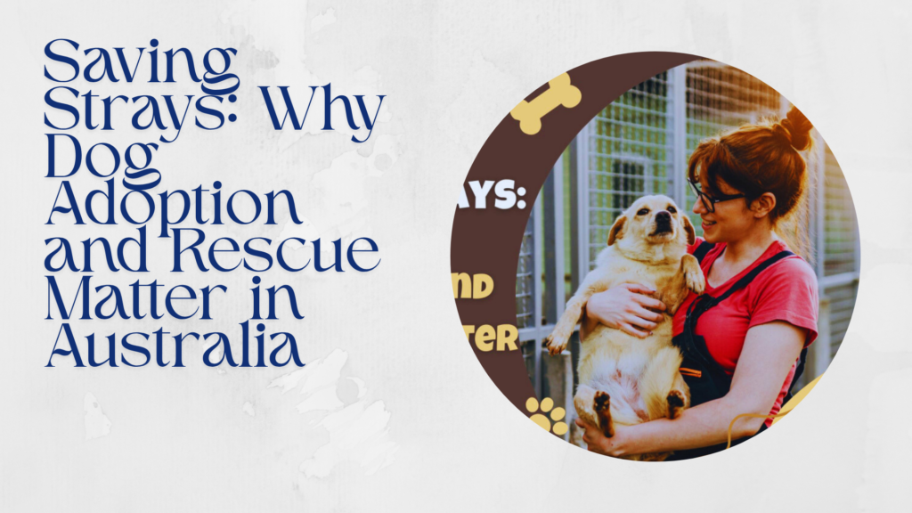 Saving Strays: Why Adoption Matters - Awareness Matters AU